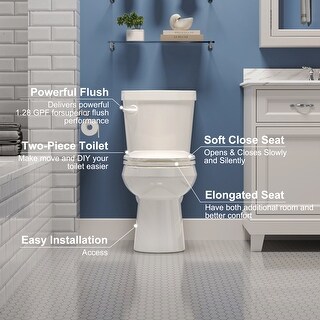 ADA Height One piece dual flush elongated 12'' rough in toilet (Seat ...