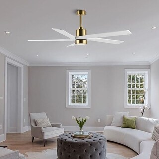WINGBO 54 DC Ceiling Fan with Lights and Remote Control, 5 Reversible ...
