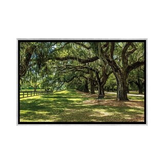 iCanvas "Boone Hall" by Bill Carson Photography Framed - Bed Bath ...