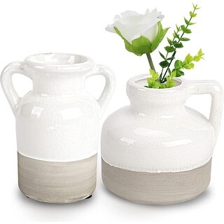 Modern Farmhouse Vase Set of 2 for Living Room Dry Flowers - Bed Bath ...