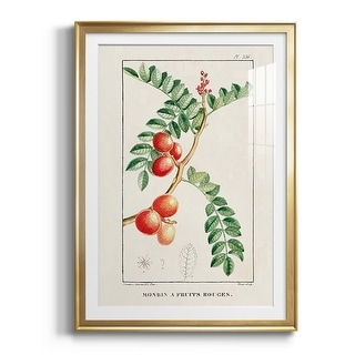 Turpin Tropical Botanicals III Premium Framed Print - Ready to Hang ...