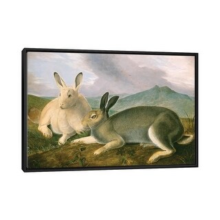 iCanvas "Arctic Hare (Audubon Commission)" by Joseph Bartholomew Kidd ...