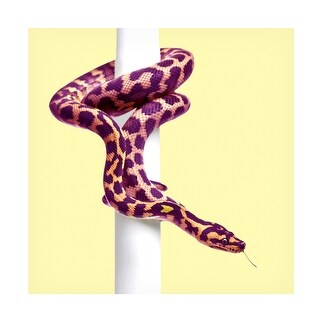 Mark Ashkenazi 'Sneck 2' Canvas Art - Bed Bath & Beyond - 39537845