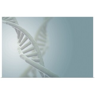 "DNA helix" Poster Print - Multi - Bed Bath & Beyond - 16376121