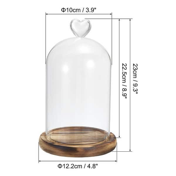 Glass Dome Cloche Clear Glass Bell Jar Display Case with Wooden Base ...