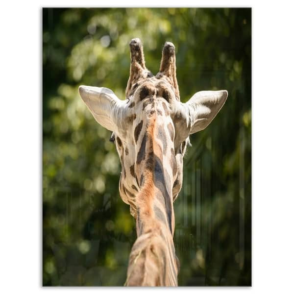 3d giraffe illusion answer