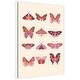 Kate and Laurel Sylvie Vintage Retro Boho Butterflies Framed Canvas by ...