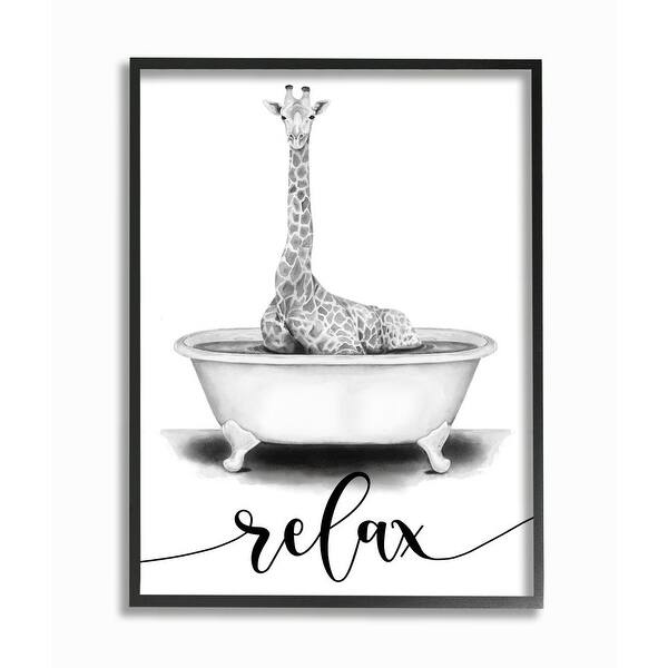 relaxing giraffe