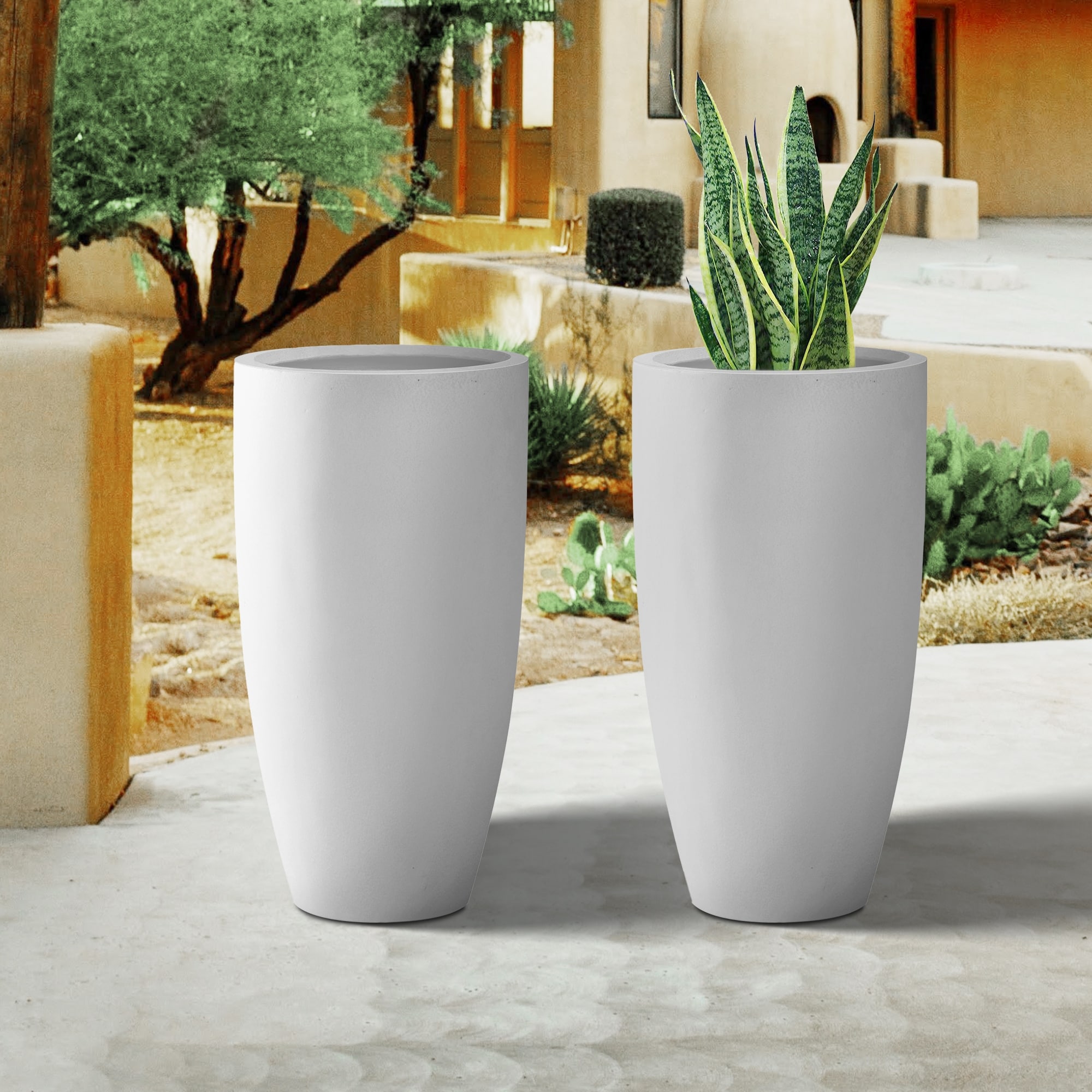 Planters - Bed Bath & Beyond