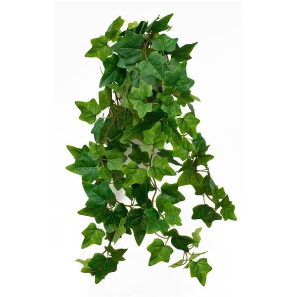 Hanging Ivy Vine - 15.75 x 6 x 39.5 - Bed Bath & Beyond - 36667346