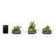 Pure Garden 3-Piece Artificial Succulent Plant Set - Set of 3 - Bed ...