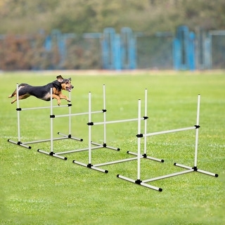White Adjustable Dog Agility Jumps with Carry Bag Exercise Dog Jumping ...