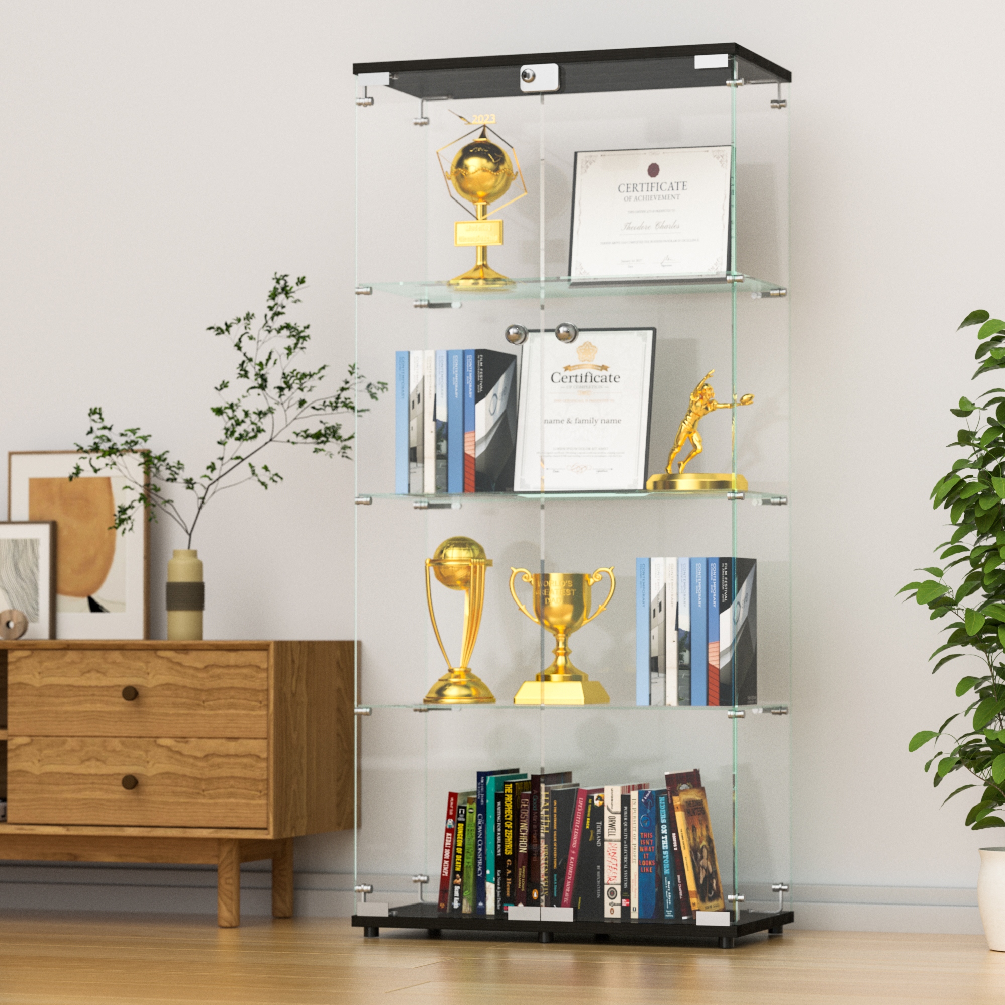 Collectors display drawers store
