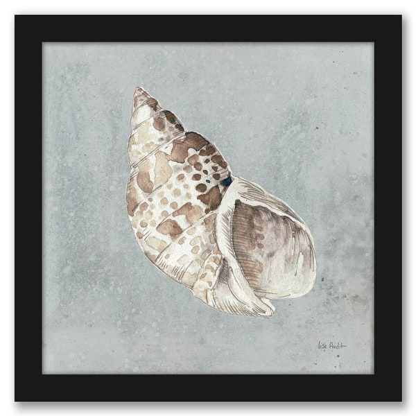Seashell Study By Wild Apple 2 Piece Framed Print Wall Art Set - On ...