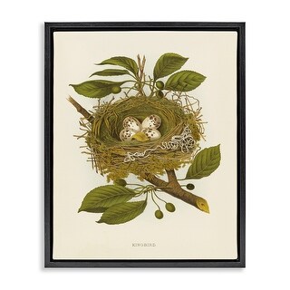 Stupell Birdnest with Spotted Eggs Framed Floater Canvas Wall Art ...