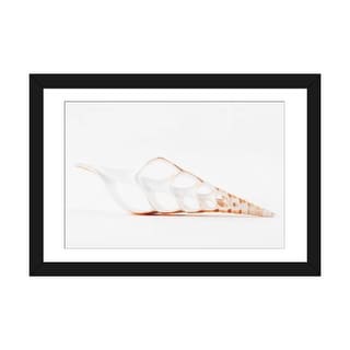 iCanvas "Beautiful Cut Tibia Shell II" by Philippe Hugonnard PFA - Bed ...