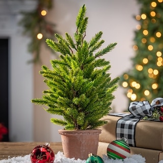 Rustic 17 inch Pine Tree in Argil Pot for Holiday Decor - Bed Bath ...