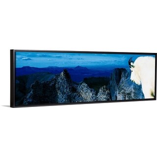 "Mountain Goat Yukon Territory Canada" Black Float Frame Canvas Art ...