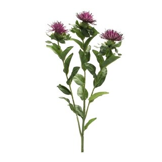 Thistle Spray (Set of 6) - 6.5"L x 6.5"W x 24.5"H - Bed Bath & Beyond ...