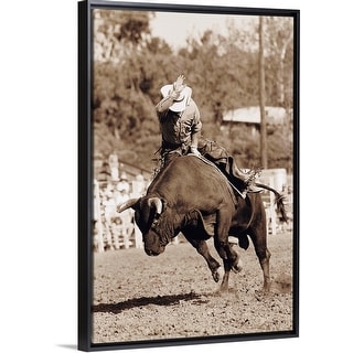 "Rider about to fall off bucking bull" Black Float Frame Canvas Art ...