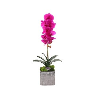 Purple Real Touch Orchid with Amethyst in Square Sliver Pot - Bed Bath ...