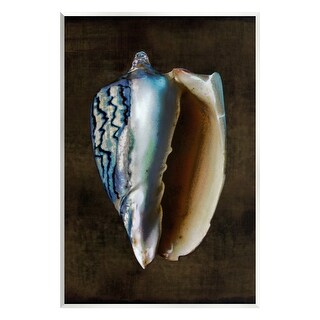 Stupell Dark Conch Shell Wall Plaque Art Design by Caroline Kelly - Bed ...