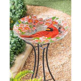 18" Decor and Embossed Glass Bird Bath, Cardinal - Bed Bath & Beyond ...