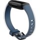 Fitbit Inspire 3 Translucent Bands Deep Dive Large - Bed Bath & Beyond ...