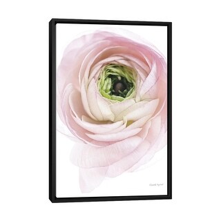 iCanvas "Pink Lady II" by Elizabeth Urquhart Framed Canvas Print - Bed ...