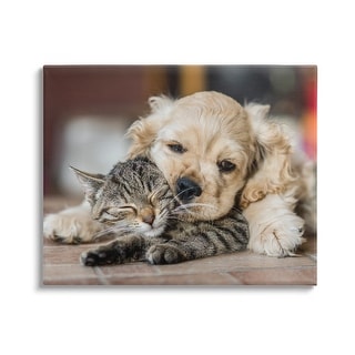 Stupell Cat & Puppy Cuddling Canvas Wall Art Design by Peter Cech - Bed ...