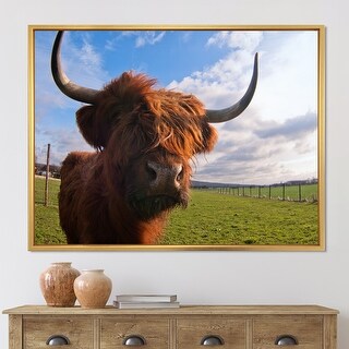 Designart "Portrait of A Yak" Farmhouse Framed Canvas Wall Art Print ...