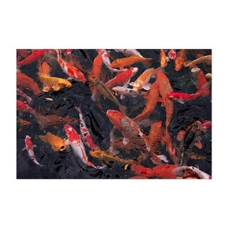 Taipei Taiwan Temple Koi Fish Photography Art Print/Poster - Bed Bath ...