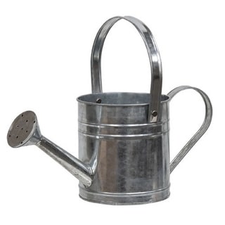 Galvanized Metal Watering Can - 6 W x 14 L x 6.25 H - Bed Bath & Beyond ...