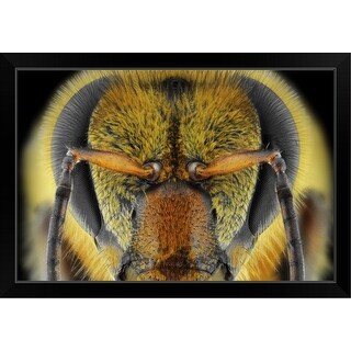 "Yellow-Faced Bee" Black Framed Print - Bed Bath & Beyond - 30183521