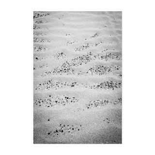 Sand texture in black and white Photography Art Print/Poster - Bed Bath ...
