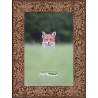 16x20 Traditional Antique Gold Complete Wood Picture Frame with UV ...