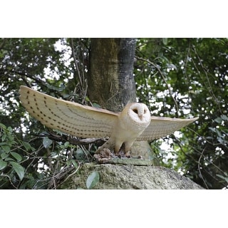 Barn Owl Flying Statue - Bed Bath & Beyond - 33312940