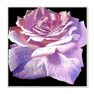 Stupell Lush Pink Rose Petals Flower Water Droplets Wood Wall Art ...