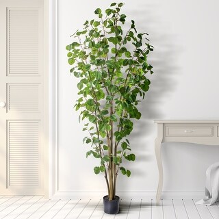 Potted Pu Silver Dollar Eucalyptus Tree X577 6' - Bed Bath & Beyond ...