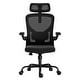 Ergonomic Office Chair, Home Office Desk Chair with Headrest, High Back ...