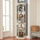 Corner Lighted Glass Curio Cabinet with Adjustable Shelves, Mirrored ...