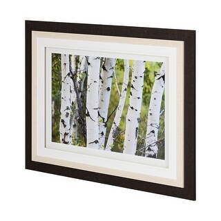 Spring Birch Framed Art Print - Bed Bath & Beyond - 39199619