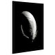 "Dream Feathers (Vertical)" Print on Acrylic - Bed Bath & Beyond - 36688830