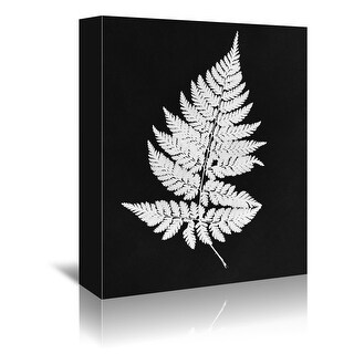 Americanflat - 8" x 10" White Fern I by Chaos & Wonder Design Wrapped ...