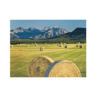 Alan Majchrowicz 'Waterton Hay Bales' Wood Slat Art - Bed Bath & Beyond ...