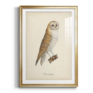 French Owls VI Premium Framed Print - Ready to Hang - Bed Bath & Beyond ...