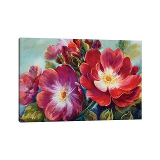 iCanvas "Greeting Rose From National Rose Collection" by Nel Whatmore ...