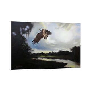 iCanvas "Eagle III" by D. "Rusty" Rust Canvas Print - Bed Bath & Beyond ...