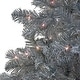 National Tree Company 9 ft. Pre-Lit Christmas Matte Silver Metallic ...