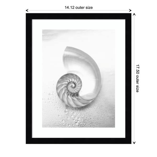 Pearl Nautilus Shell Cut In Half Showing Chambers by Design Pics Danita ...